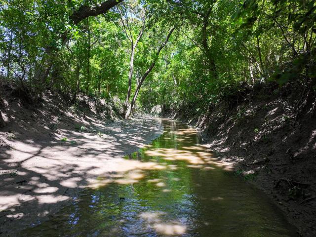 TBD FM 86 Tract 1 Highway