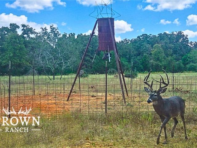 TBD FM 908 +/ 1,057 acres