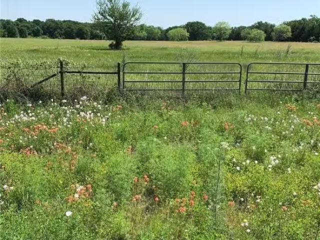 Tbd FM 933, Aquilla, TX 76622