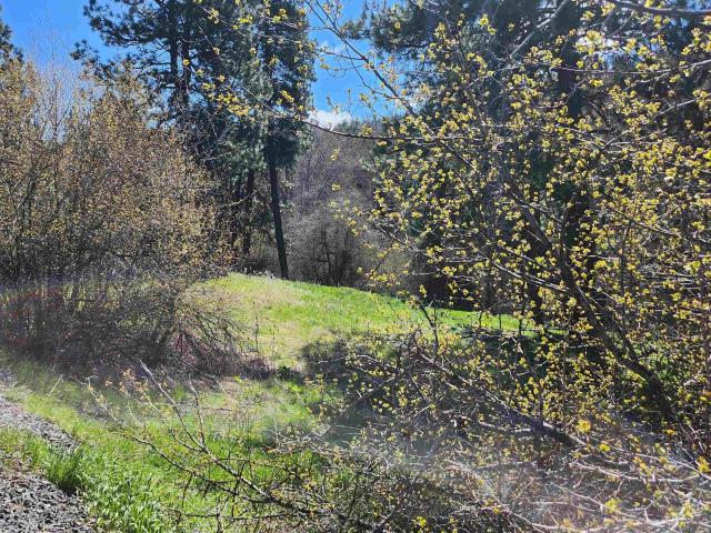 TBD Four Mile Rd