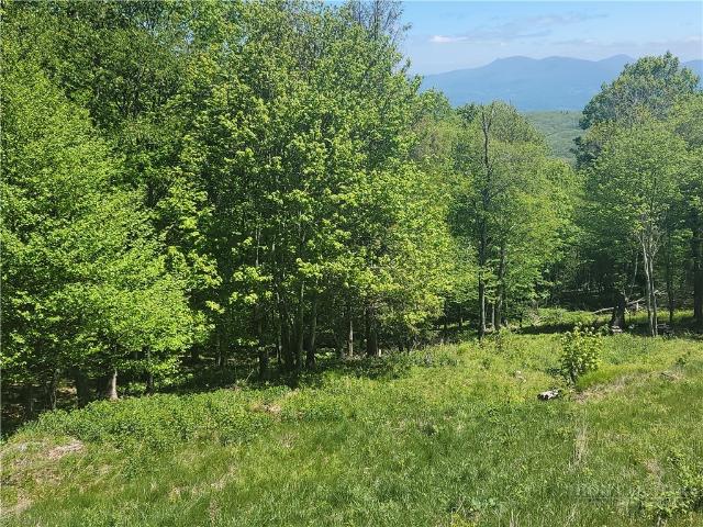 TBD Foxfire Drive
