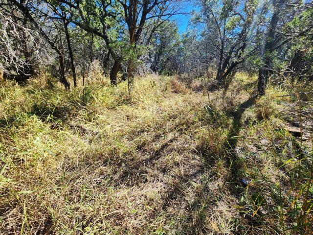 Tbd Forest Dr, Burnet, TX 78611 | MLS #79008
