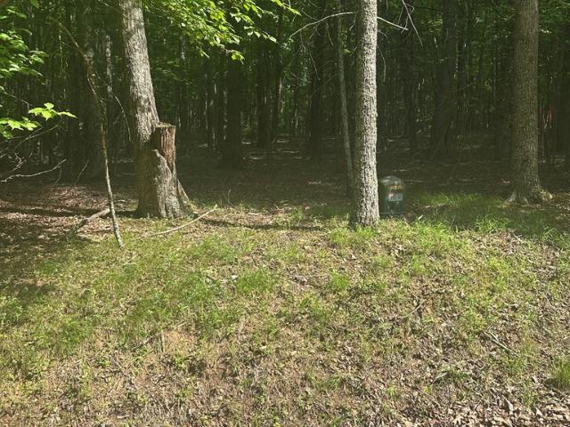 TBD Forest Green Dr