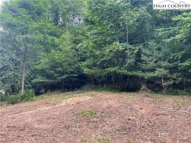 TBD Forest Ridge