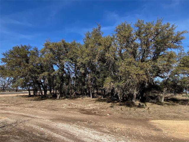 101 Fayt Ct, Georgetown, TX 78628 | MLS #5978