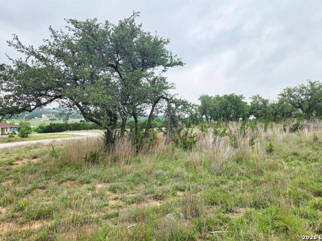 TBD Falling Oak