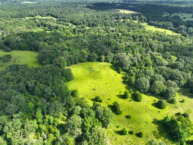 Tbd Fcr 280, Oakwood, TX 75855 | MLS #20972