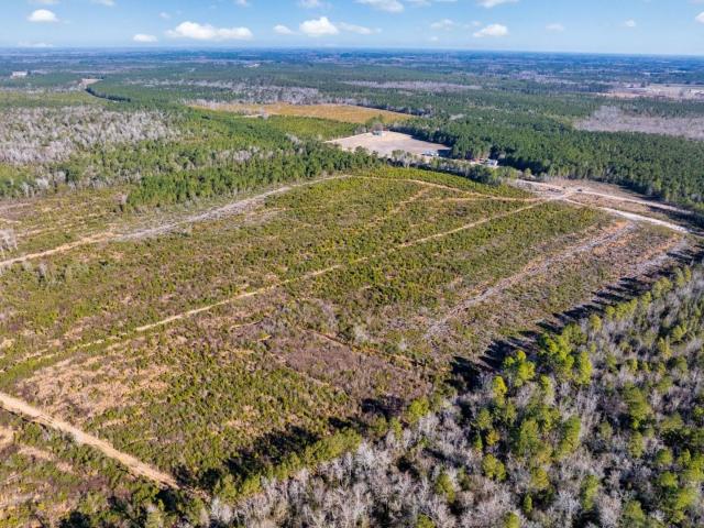 100 Acres Fifteen Mile Bay Rd