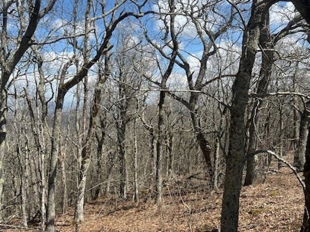 TBD Fire Tower Road