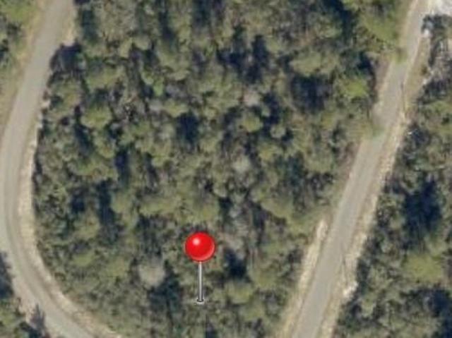 Tbd Fisher Way Trak, Ocklawaha, FL 32179