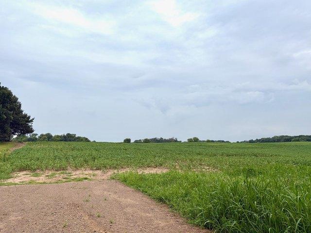 Tbd Flamingo St NW, Isanti, MN 55040