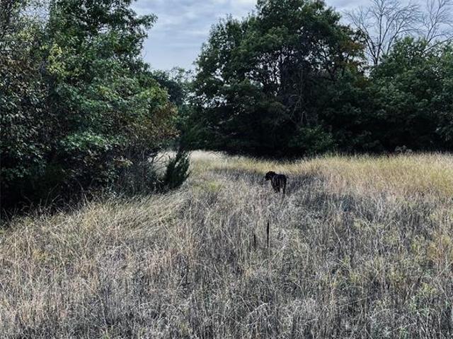 Tbd Flat Rock Rd, Azle, TX 76020 | MLS #21065