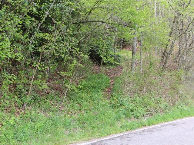 TBD Flatwoods School Road