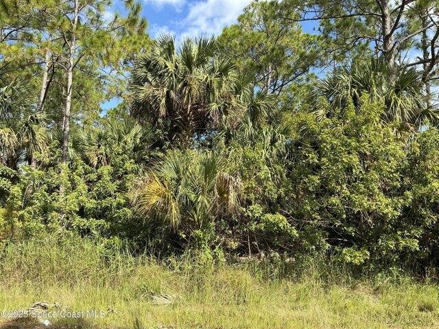 Tbd Frederick St Sw Lot,palm Bay, Plot For Sale