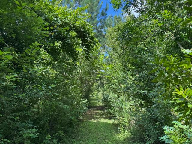 Tbd Frozard Rd, Arnaudville, LA 70512 | MLS #RA2500000 | Compass