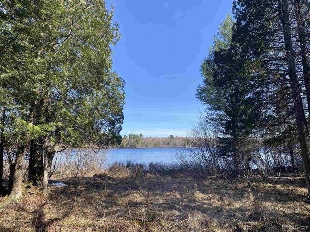 Tbd Keweenaw Pass, Lake Linden, Plot For Sale
