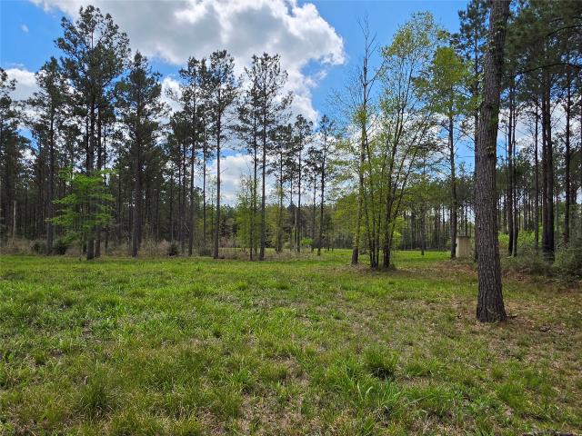 Tbd Kelly Rd, Livingston, TX 77351 | MLS #10770