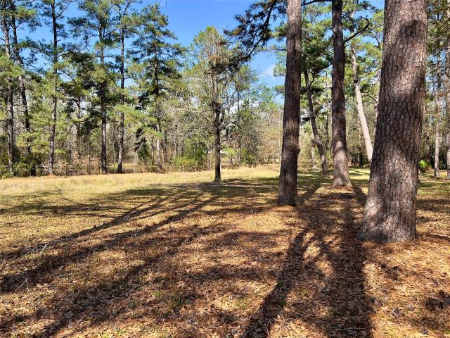 Tbd Kent St, New Caney, TX 77357 | MLS #30070 | Compass