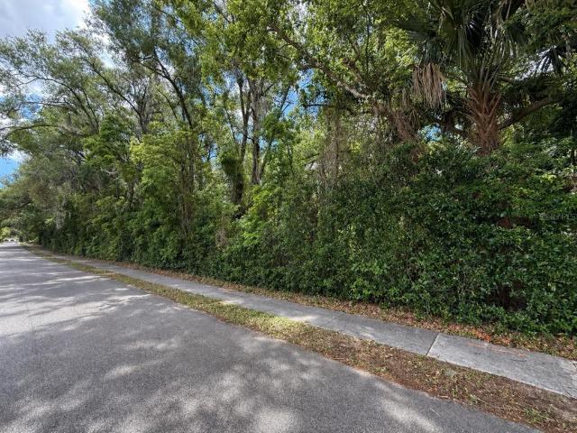 Tbd King Ave, Zellwood, FL 32798 | MLS #G5111 | Compass