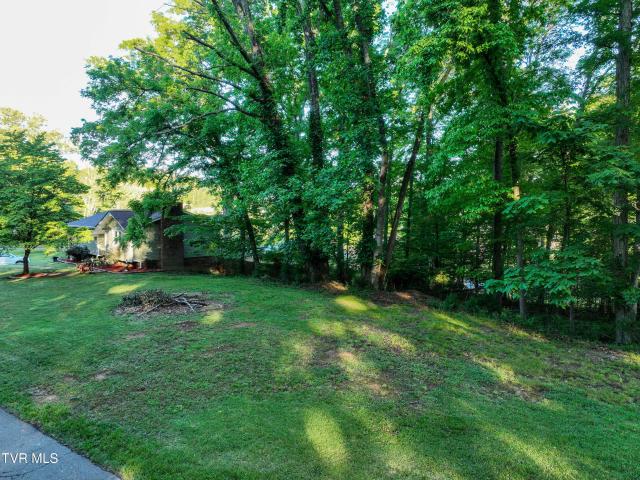 Tbd Kings Mountain Drive