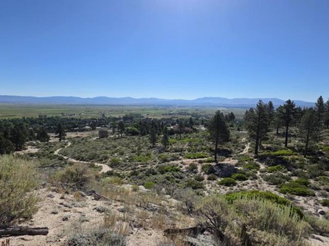 Tbd Kingsbury Grade Rd, Gardnerville, NV 89460