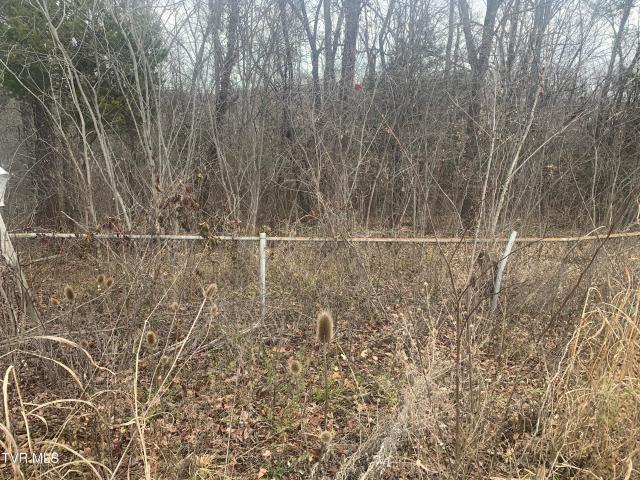 Tbd Kingsport Hwy