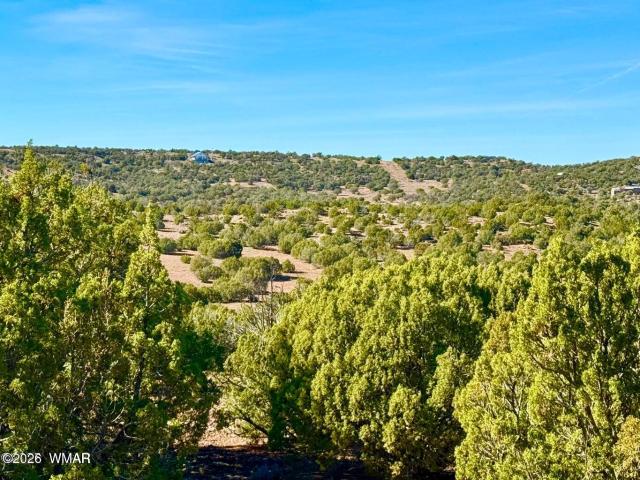TBD Kirkwood Dr 20 Acres