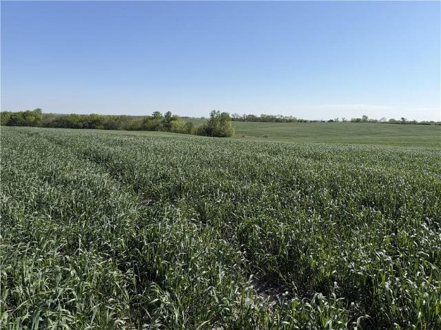 Tbd H Hwy, King City, MO 64463 | MLS #2614 | Compass