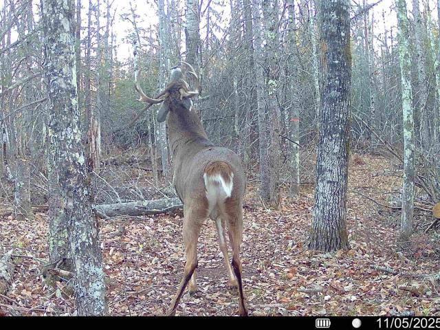 TBD Hokkanen Rd