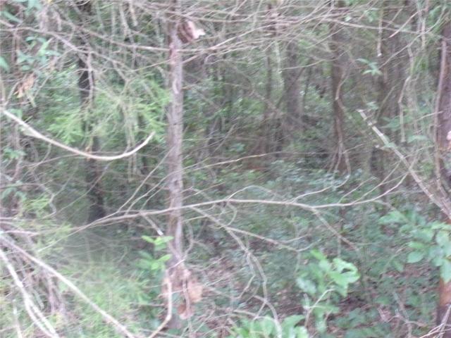 Tbd Holly Glen
