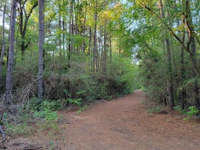 TBD Honeylocust Lane