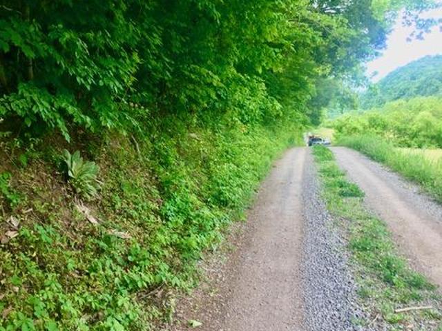 TBD Hatfield Road