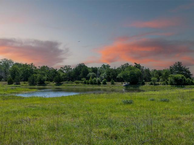 Tbd Halamicek Loop, Fayetteville, TX 78940 | MLS #5120