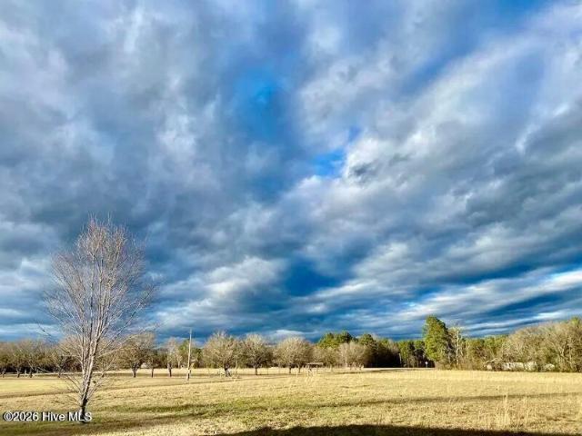 Tbd Hamer Mill Rd, Rockingham, NC 28379 | MLS #100556 | Compass