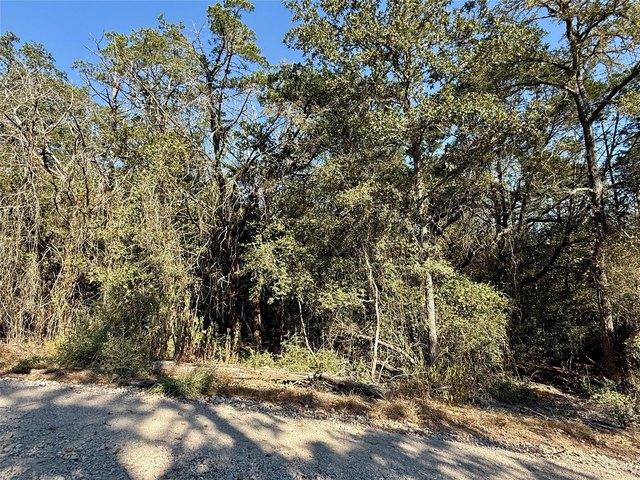 Tbd Hanauma Dr Lot 1232, Bastrop, TX 78602