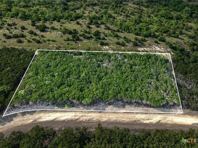 Tbd Hank Williams Way Lot 19, Burnet, TX 78605