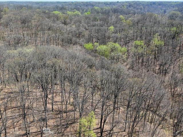 Tbd Hardin Ridge Rd, Bedford, IN 47421 | MLS #202614