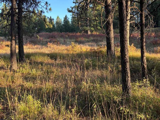 TBD Harlow Ridge Rd Cloverland Estates 26