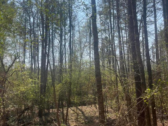 Tbd Healing Acres Lane