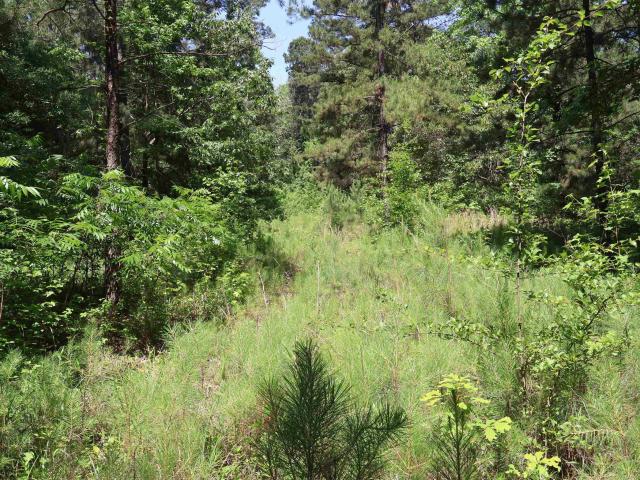 TBD Heather Ridge