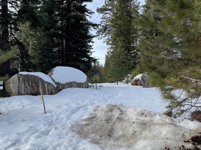 Tbd Heavens Gate Ct, McCall, ID 83638 | MLS #98974