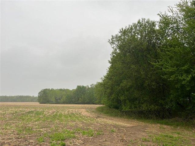 Tbd Hemingway Ave Lot 4, North Branch, MN 55056