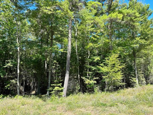 TBD Hemlock Views Trail # Lot 21 & 22