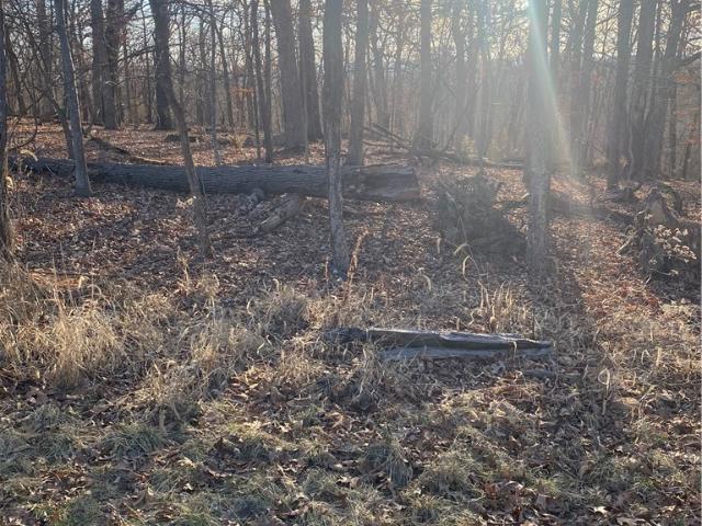 Tbd Hh And Carol Rd Lake, Ozark, MO 65049 | MLS #3584