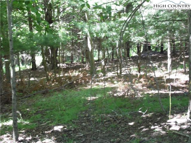TBD Hickory View Drive 34