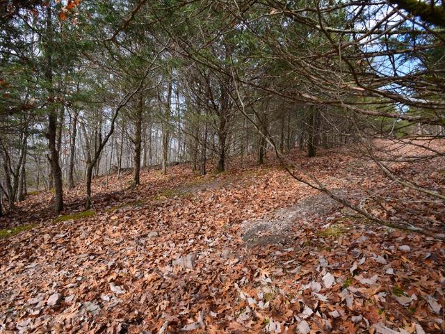 TBD Hickory Drive