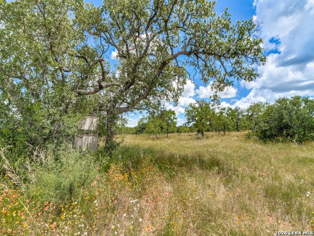 TBD Hickory Grove Road