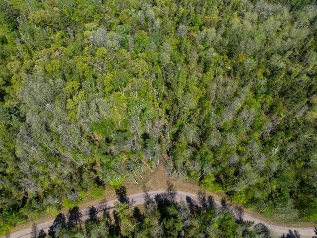 TBD Hidden Creek Court
