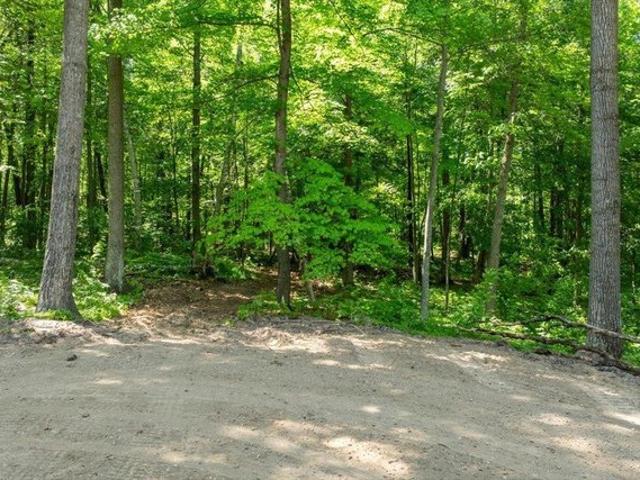 Tbd Hidden Pond Ln Lot C, Pequot Lakes, MN 56472