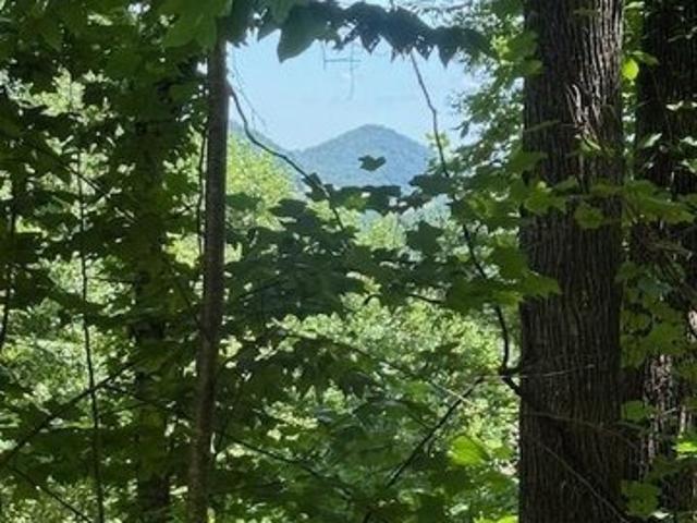 Tbd High Meadows Ct Lot 30, Fleetwood, NC 28626
